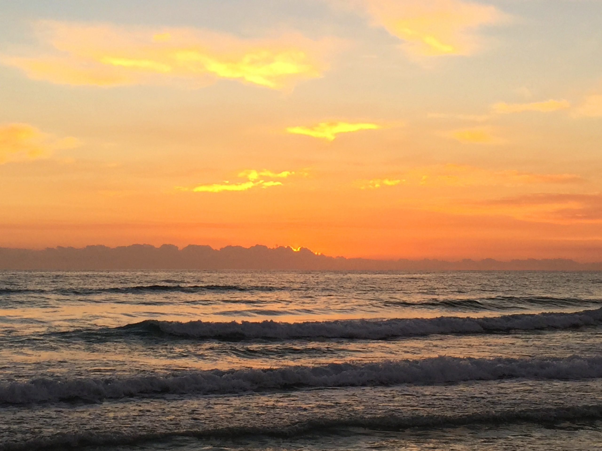 The seeds of humility - Syntropic.world